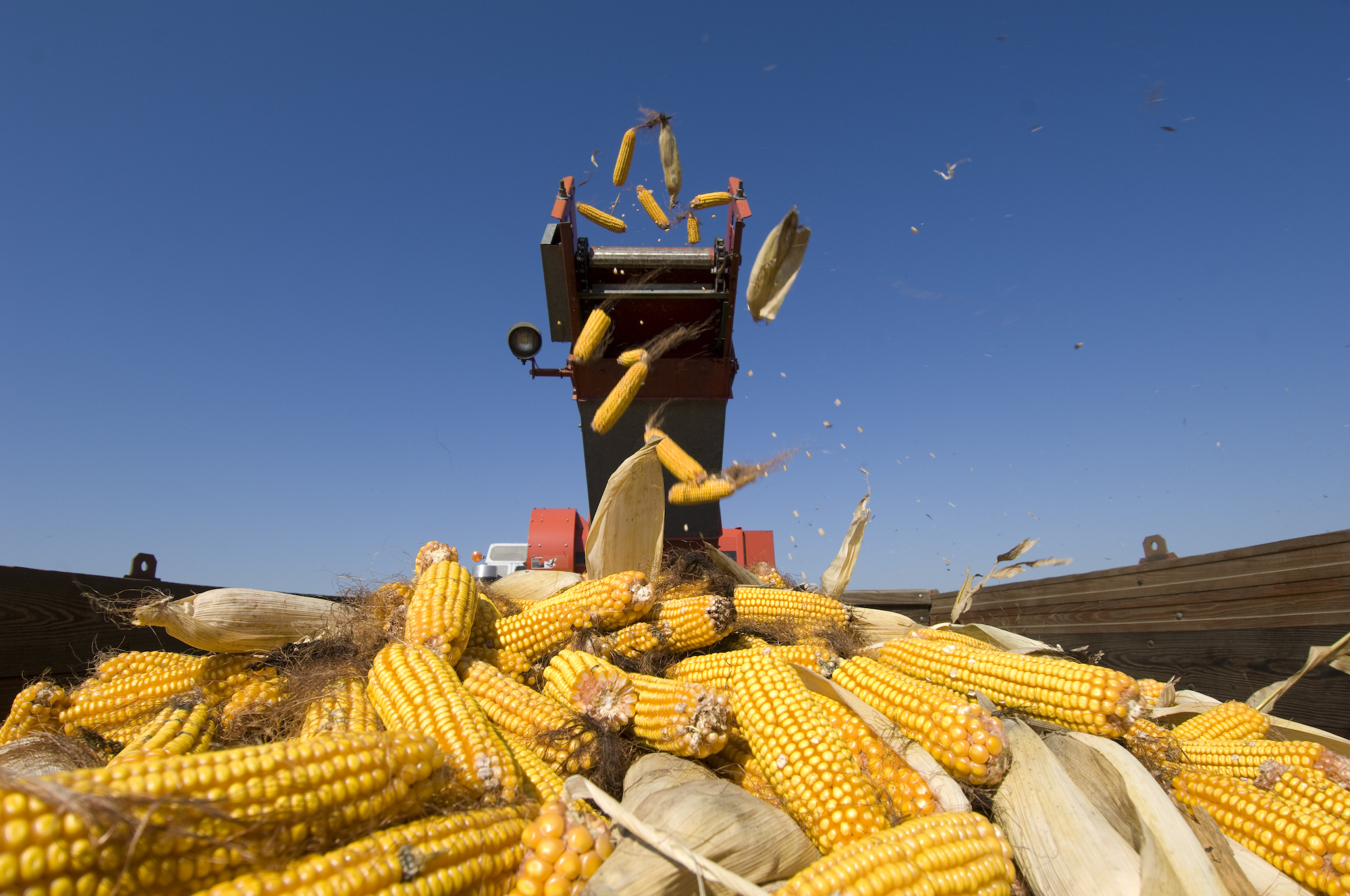 Our History – OLD – Cloverleaf Farms, Inc.